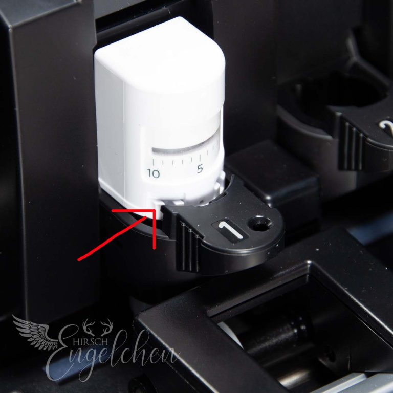 Die neue Cameo 5 - Einrichten - HirschEngelchen